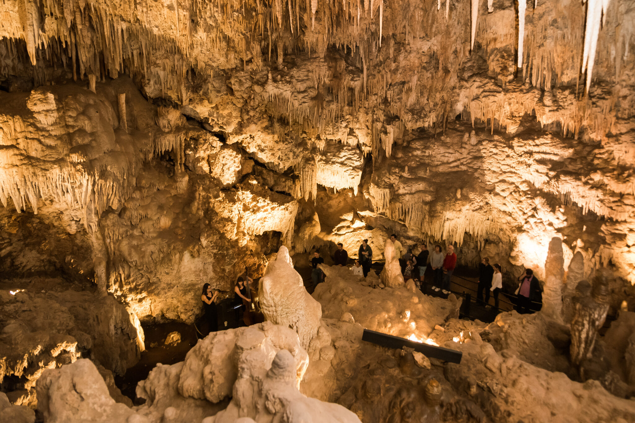 Forests & Caves - Saltwater Busselton